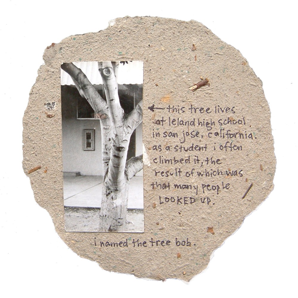 Treewhispers | AWAKENING OUR HEARTFELT CONNECTION TO TREES