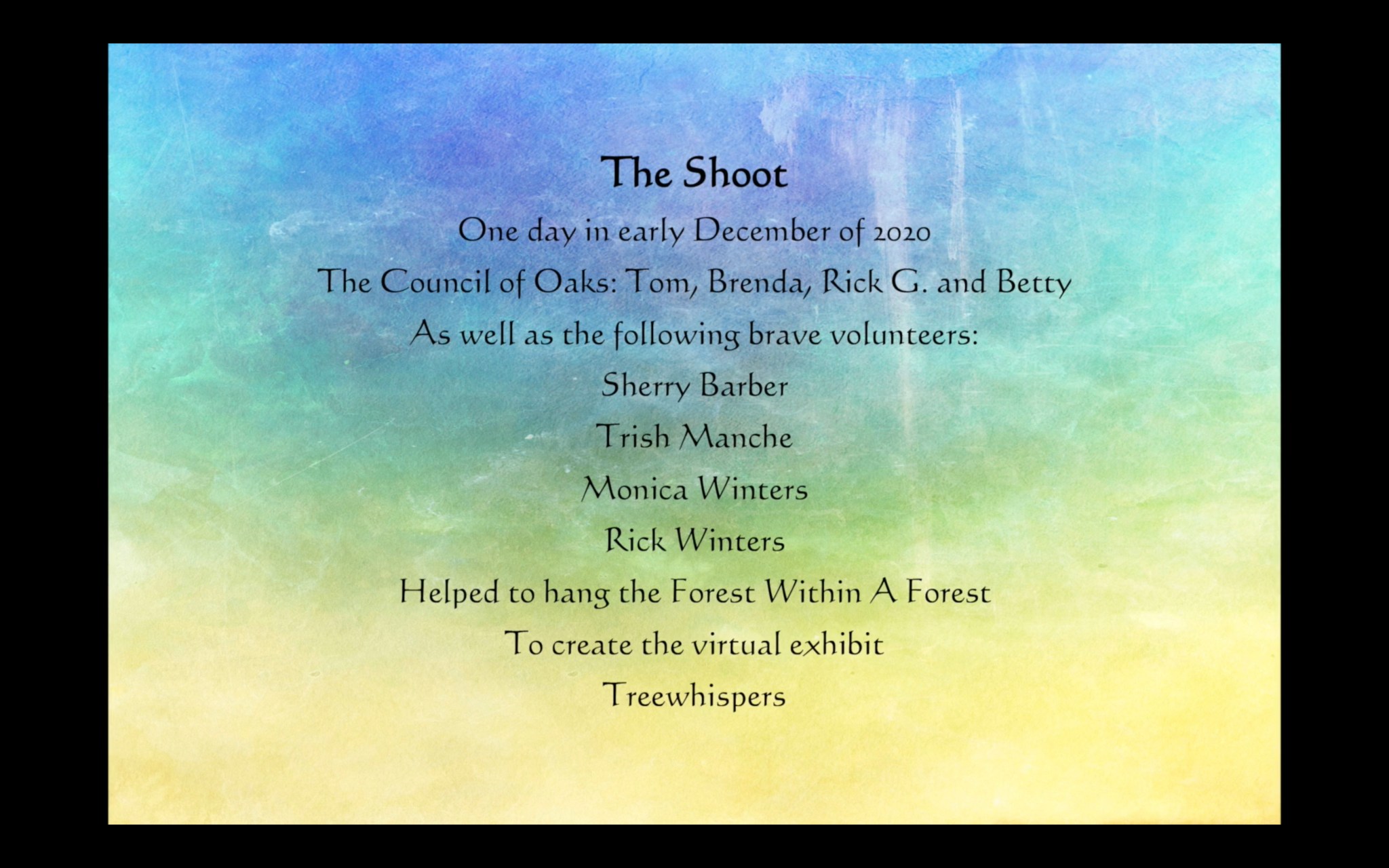 Calligraphy | Treewhispers