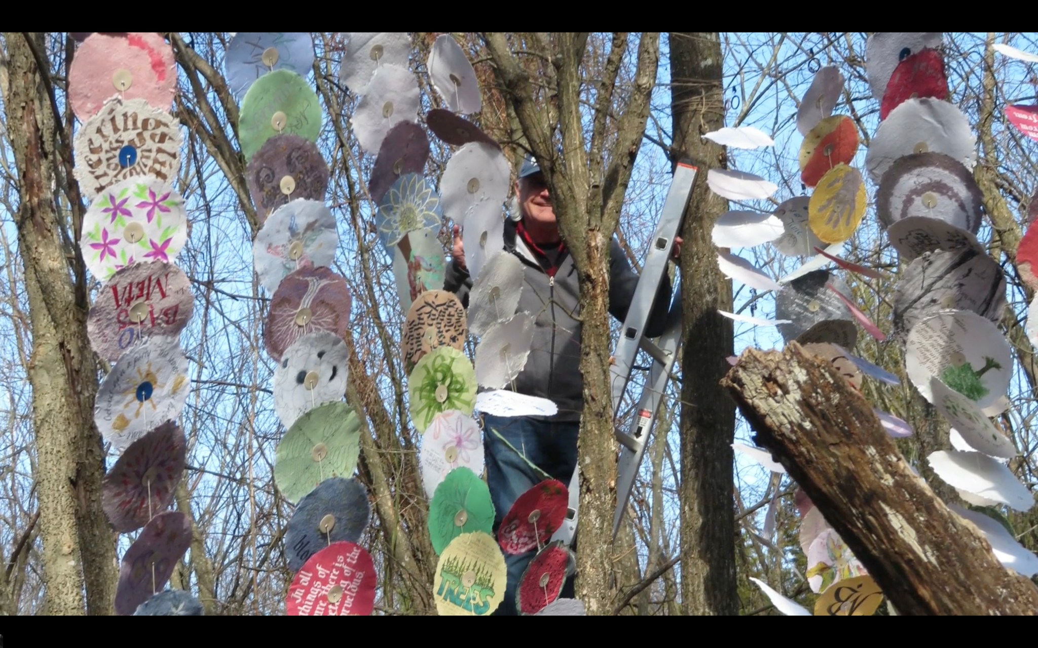 Calligraphy | Treewhispers