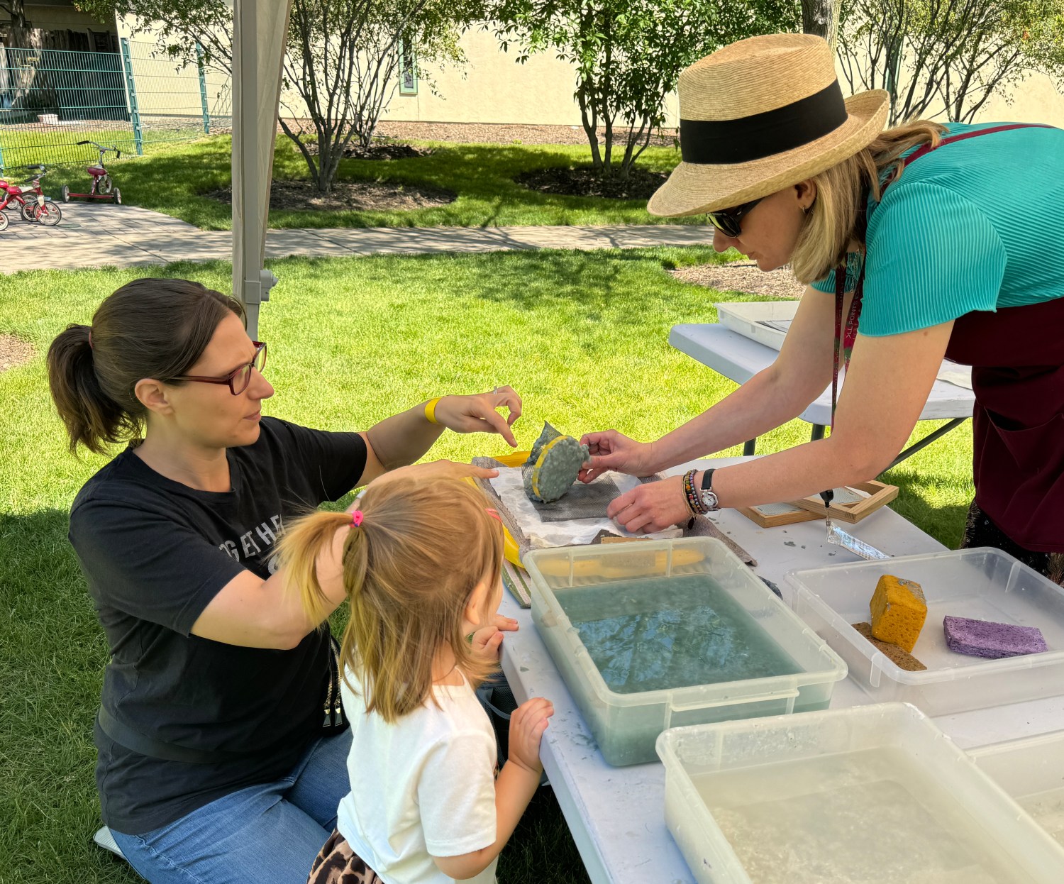 Treewhispers | Awakening our heartfelt connection to trees